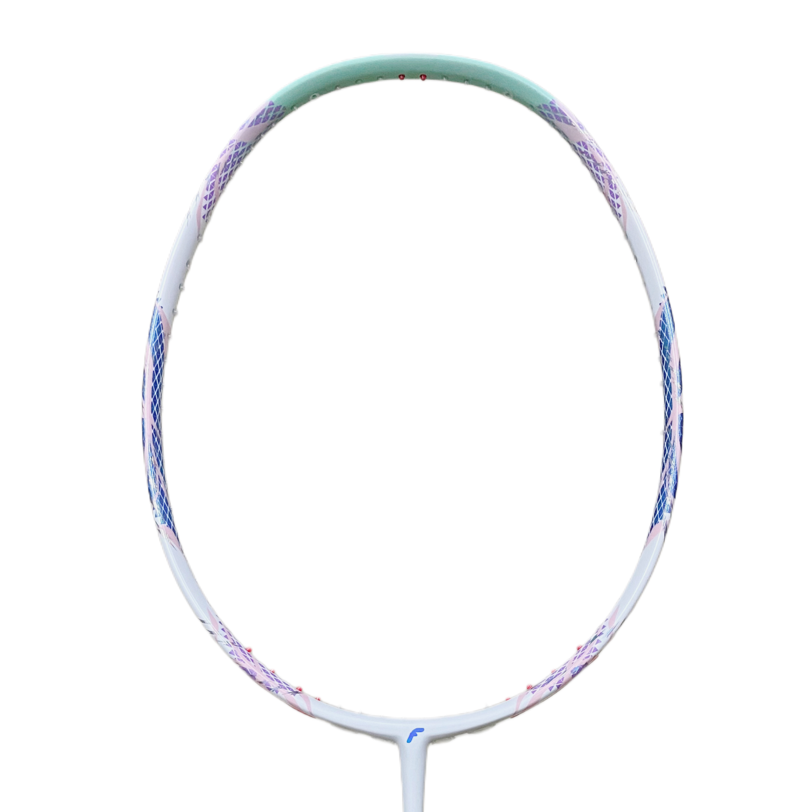 FLEX POWER WORLD TOUR FINAL BADMINTON RACQUET